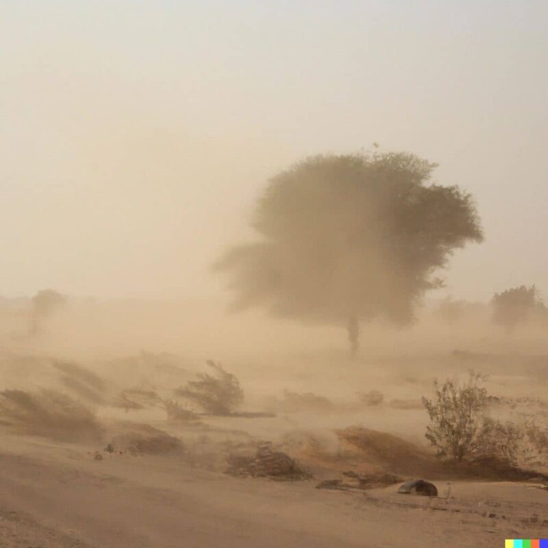 Where Did the Harmattan Go? How a Vanishing Dust-Dry Season Is ...
